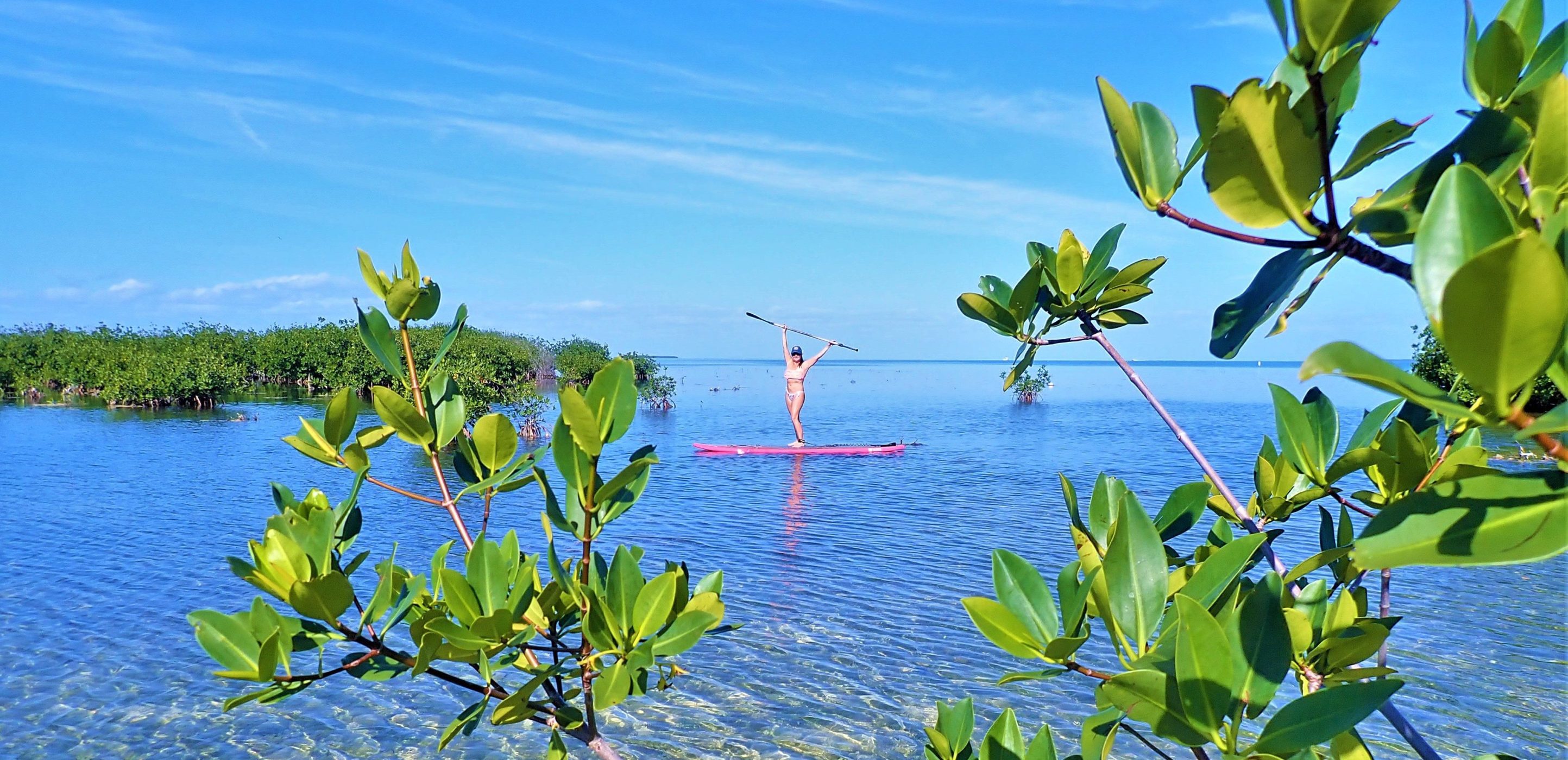 Islamorada Paddleboarding | Key Largo Adventures